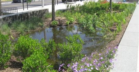 Jonathan Casey On Linkedin Becoming Climate Resilient Training