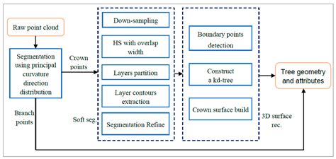 Soft Segmentation And Reconstruction Of Tree Crown From Laser Scanning Data