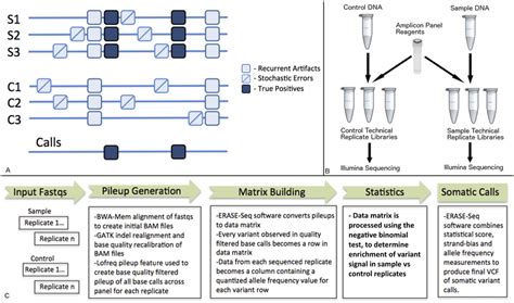 erase seq concept and method a erase seq distinguishes true dna