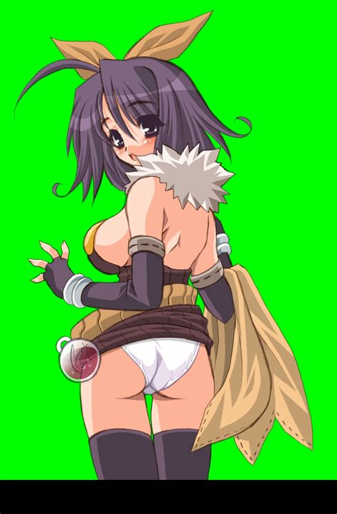 Hakoiri Nyanko Danbooru