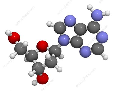 Deoxyadenosine Nucleoside Molecule Stock Image F010 6802 Science