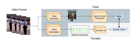 determining gender through walking styles with machine learning unite ai