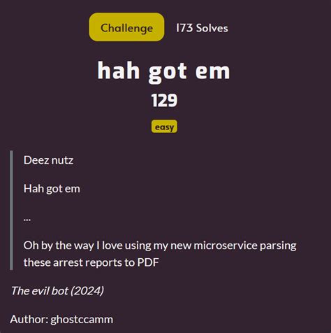 Downunderctf 2024 Web H0j3n