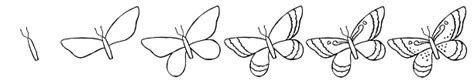 Butterfly Drawing 6 Easy Steps The Graphics Fairy