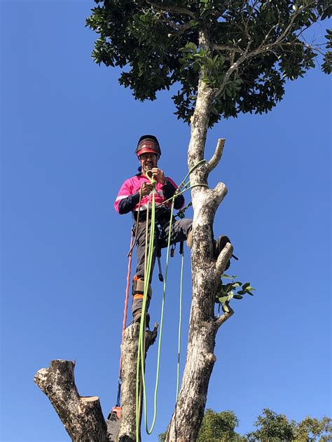 Our Services Husband And Wife Tree Service