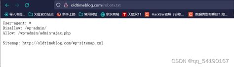 小迪安全 08 小迪安全工具包csdn csdn博客