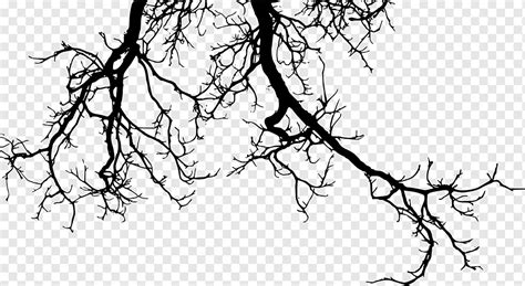 Branch Tree Twig Tree Branch Leaf Tree Branch Branch Png PNGWing