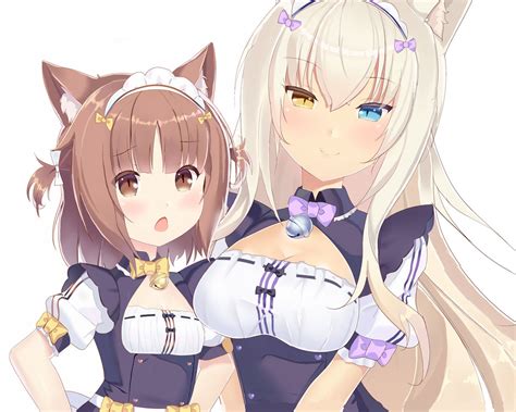 Azuki Coconut Nekopara By Makimakinii On Deviantart