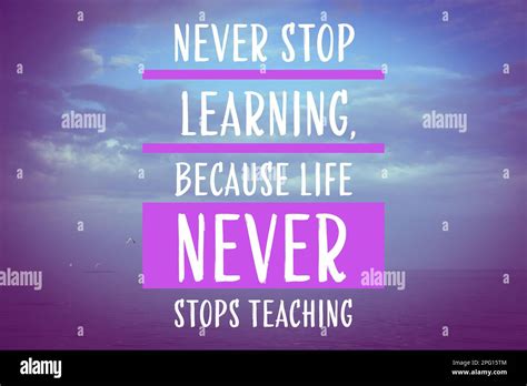 Never Stop Learning Sto