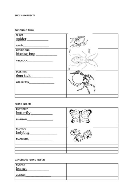 Bug Hunt Pdf