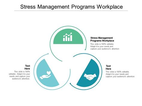 Stress Management Programs Workplace Ppt Powerpoint Presentation Guide