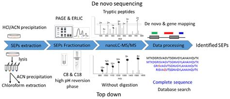 Improved Identification Of Small Open Reading Frames Encoded Peptides By Top Down Proteomic