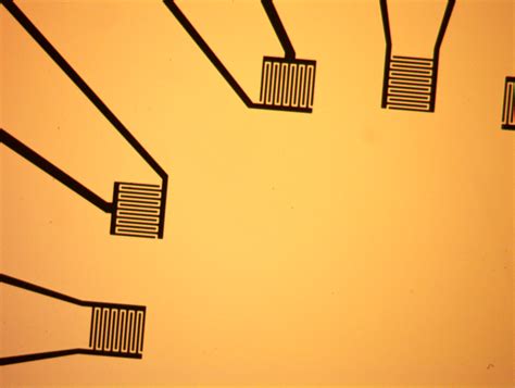 Interdigitated Electrode Array 6 Chips Platypus Technologies