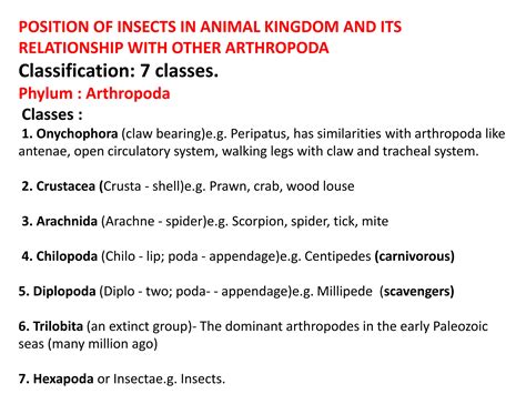 Basic Entomology With Insect Anatomy And Taxonomy PPTX