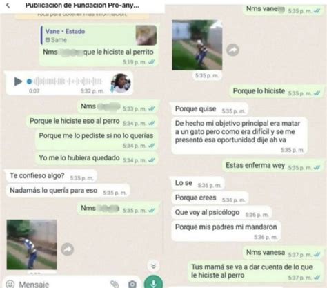 Federica Quijano Exige Justicia Por Huellitas El Perrito Asesinado