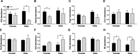 Sex Specific Regulation Of Inflammatory Gene Expression In The Central