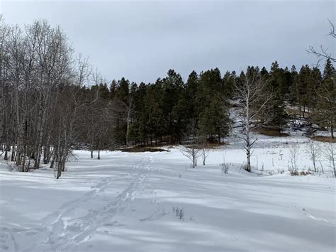 Deerfield Trail Trail 40 In The Black Hills Tranquil Trekker
