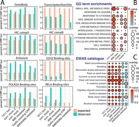 Overrepresentation Analysis Panel A Gives The Percentage Of Each Download Scientific Diagram