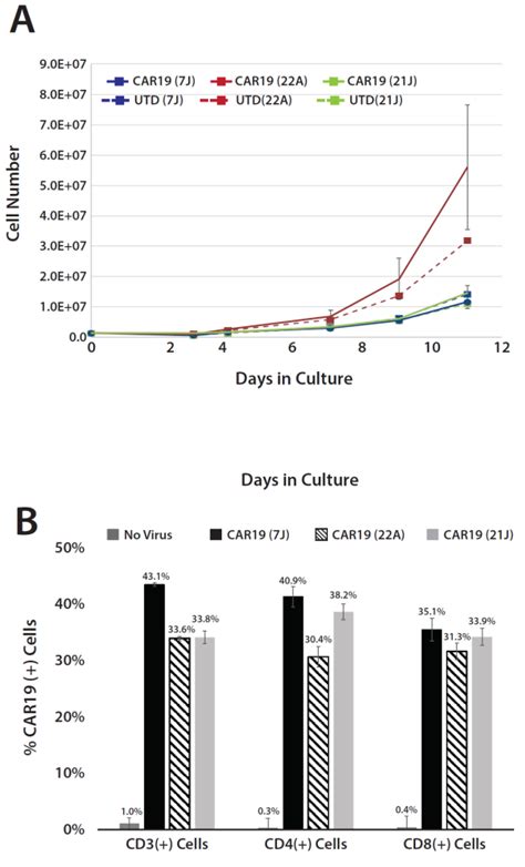 Chimeric Antigen Receptor T Cell Manufacturing On An Automated Cell Processor