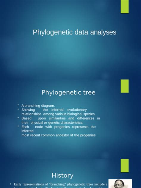 Phylogenetic Analysis Extra Pdf Phylogenetic Tree Phylogenetics