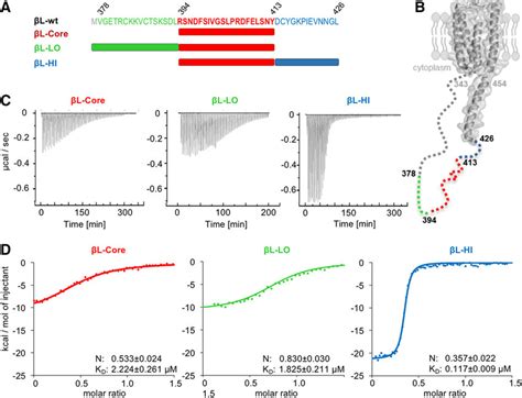 Dissection Of The Bimodal Binding Between Glyr And Gephyrin A
