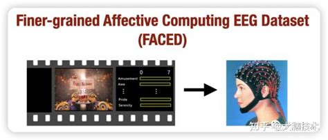 情绪情感脑电数据集 知乎