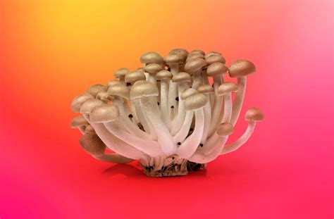 Three Vulnerabilities In Google Chrome Weareliferuiner