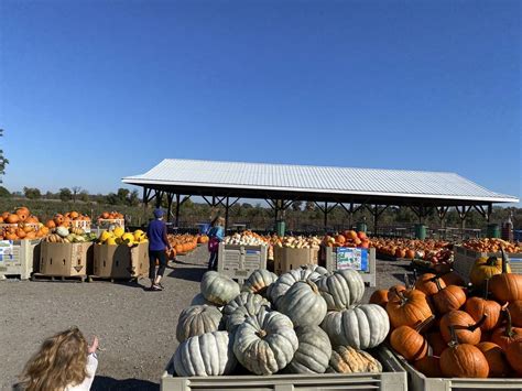 Homestead Farm Updated July 2025 445 Photos And 190 Reviews 15604