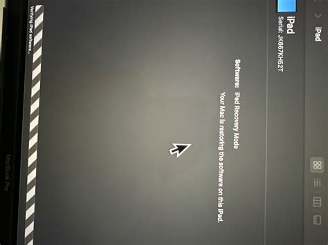 Idevice Digital Characters Passcode Lost Apple Community