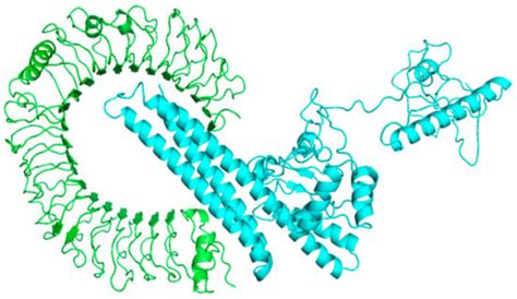 Vaccines Special Issue Advances In Epitope Based Vaccine Design