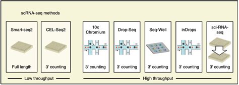 Chapter Somatic Mutation Analysis In Single Cells Hku Single Cell Workshop Modules