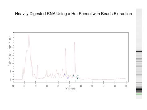 Ppt Interpretation Of Agilent 2100 Bioanalyzer Data Powerpoint Presentation Id 5194377