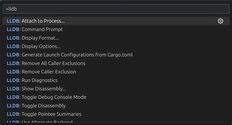 Best VS Code Extensions For Rust Development Sergio Rodrigo Royo Learn How To Code