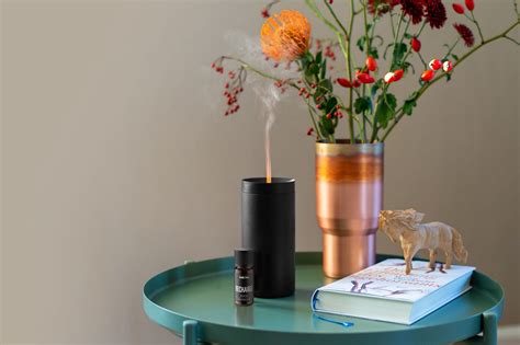 Aroma Diffuser Lucy Schwarz Mit Amber Light™ Stadler Form G A Luft