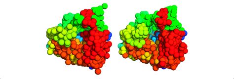 3d Models Of The 80s Ribosome Left 1000 Particle Model Inferred Download Scientific