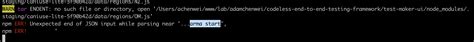 why there are yarn lock and package lock json both present · issue