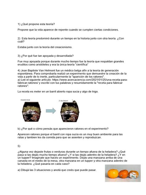 Generacion Espontanea Eitan Agustin Mati Pdf Science