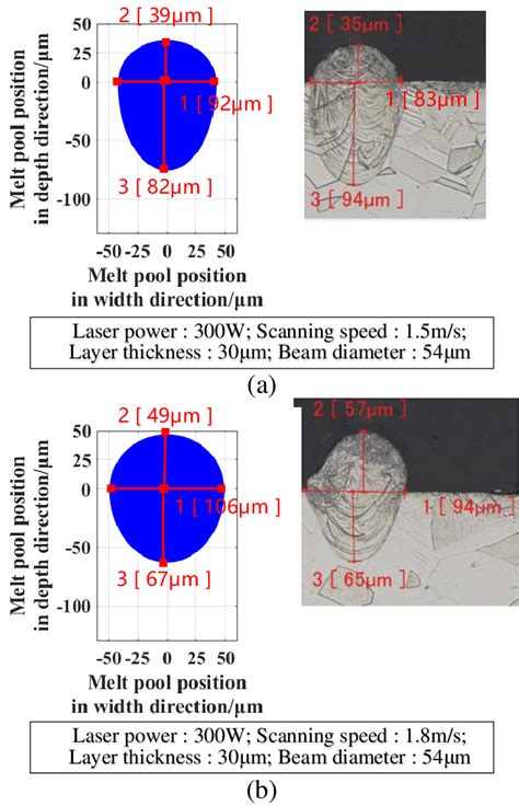 Comparison Of Calculated And Experimental Cross Section Morphologies