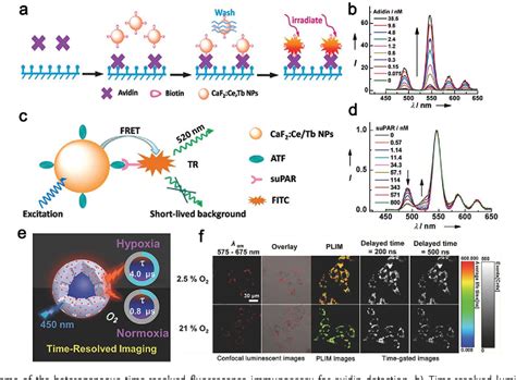 Figure 8 From Recent Progress In Time Resolved Biosensing And