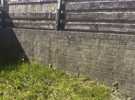 Advice On Rendering Walls Rdiyuk