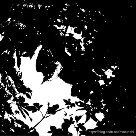 Opencv之kmeans聚类（图像分割）opencv Kmeans 图像分割 Csdn博客