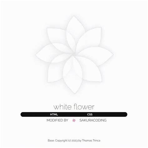 White Flower Html Css Source Code For White Flower By Giovanna Taminato Medium