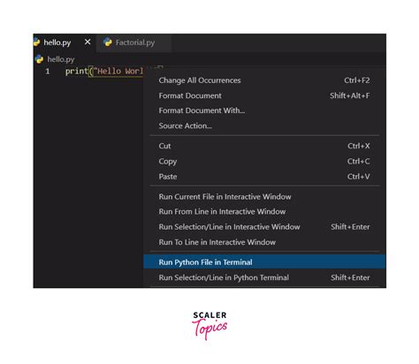 How To Run Python Program Scaler Topics