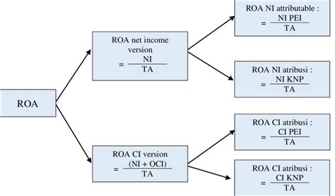 Roa Formulation Based On Two Versions Of Profit And Owners Attribution