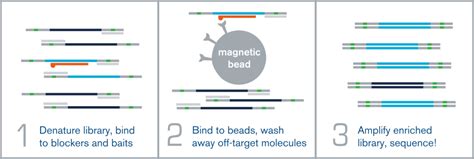 Faqs On Targeted Sequencing Kits Ngs Services Wge And More