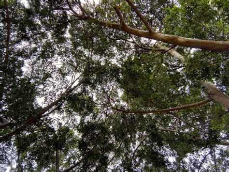 Daniel Slutsky On Linkedin Jointprob