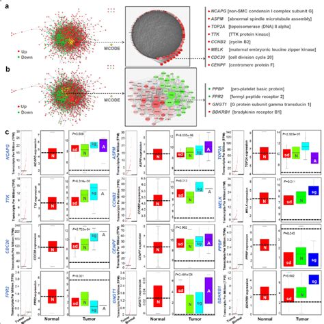 Protein Protein Interaction Network A B Stringdb R Package And Download Scientific Diagram