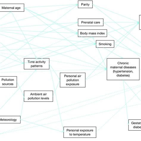 Directed Acyclic Graph Of Assumed Relationships Between Preterm Birth