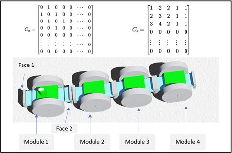 Modeling The Configuration Of A Chain Type Modular Robot With 4 Modules