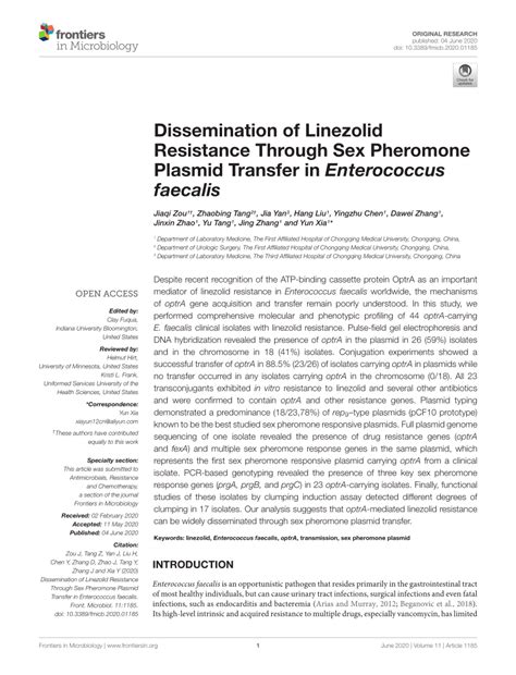 Pdf Dissemination Of Linezolid Resistance Through Sex Pheromone Plasmid Transfer In Pdf Dissemination Of Linezolid Resistance Through Sex Pheromone Plasmid Transfer In